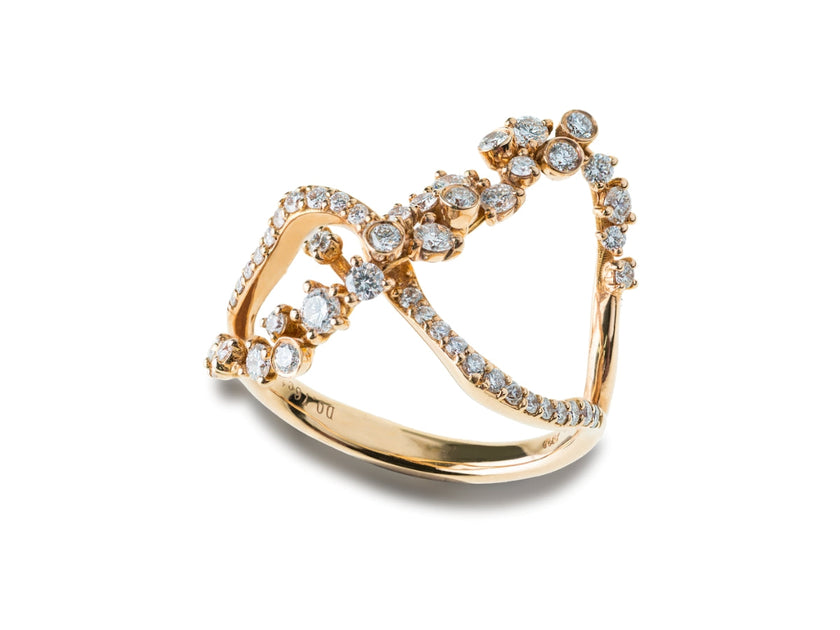 Early Bird Jewelry Specials Van Drake Jewelers
